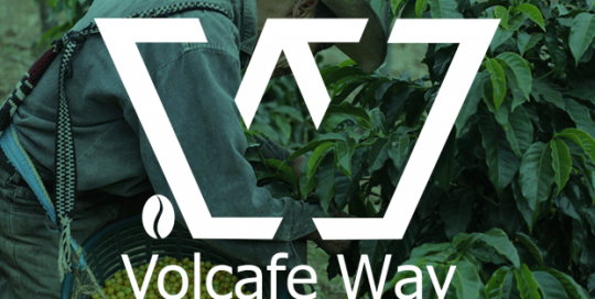 Portfolio - Volcafe Japan