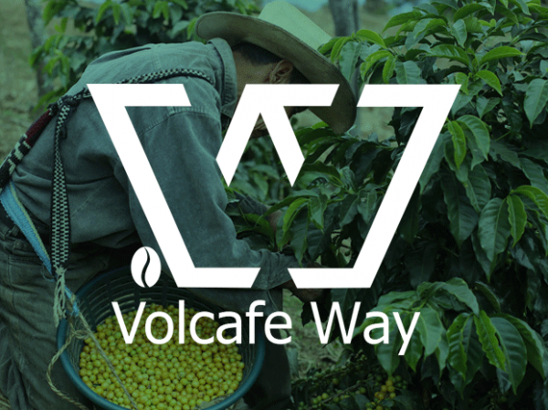 Home – 日本語 - Volcafe Japan