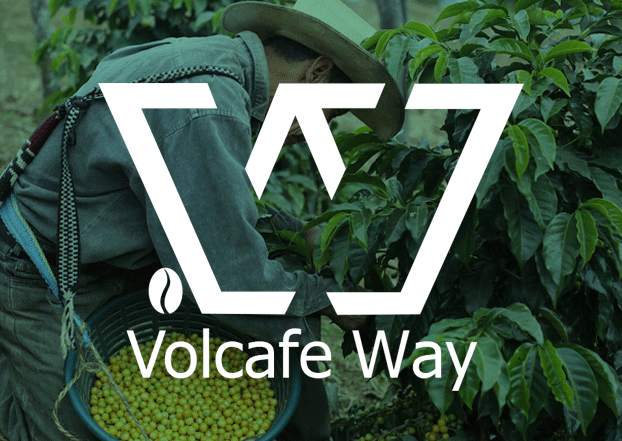 Volcafe Way JP – Volcafe Japan