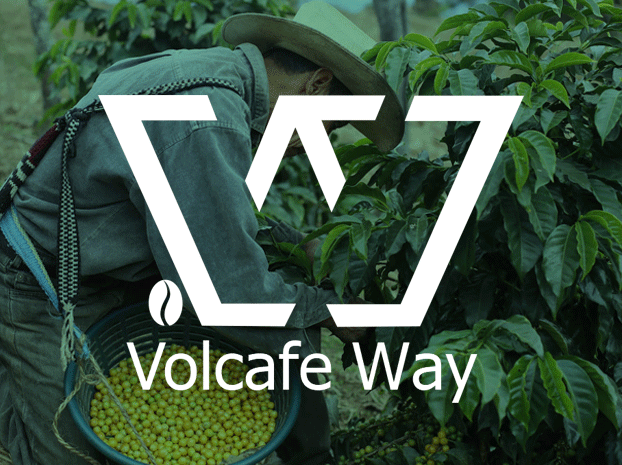 Home – 日本語 - Volcafe Japan